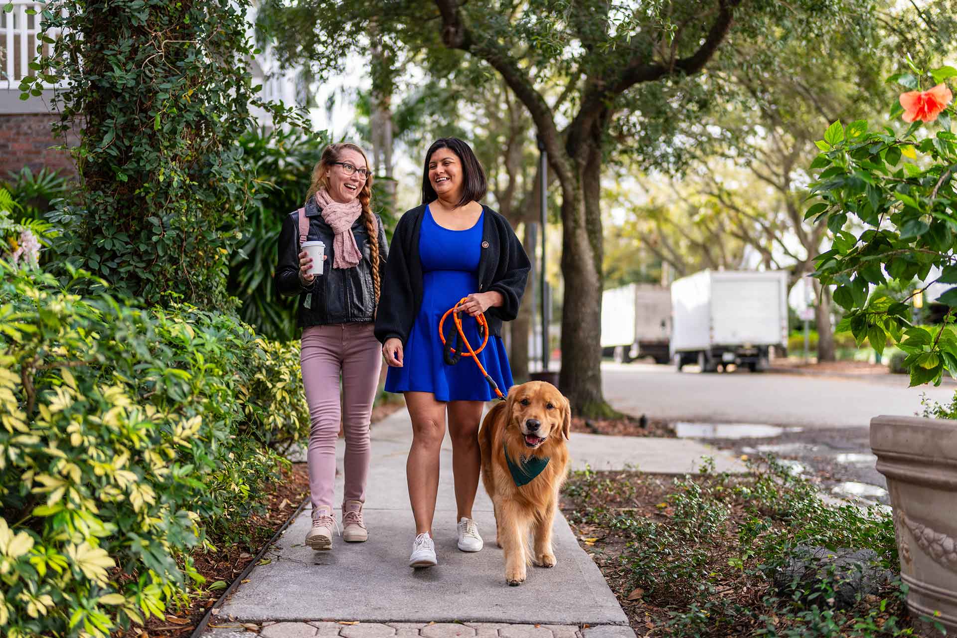 BayLive Checking - BayFirst Financial